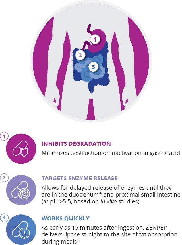 MOA | ZENPEP® (pancrelipase) Delayed-Release Capsules